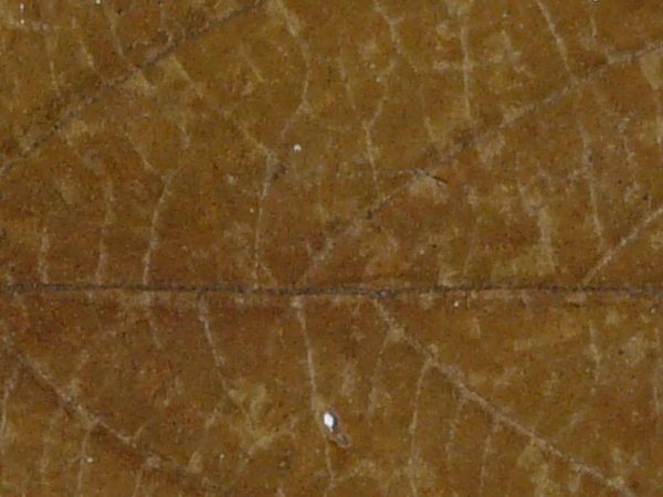 texture 0006 - Texturelib